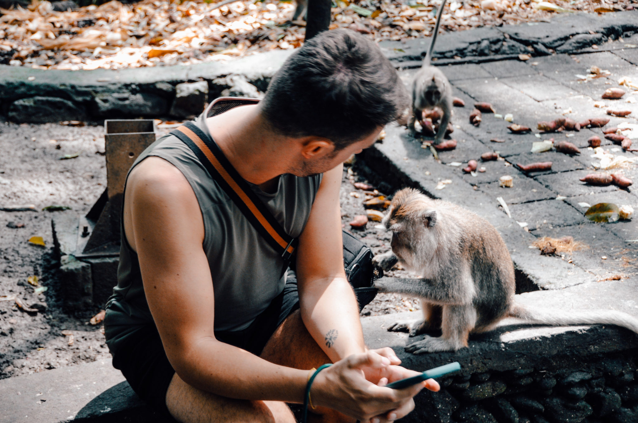 Exploring the Sacred Monkey Forest in Ubud, Bali | Feast of Travel