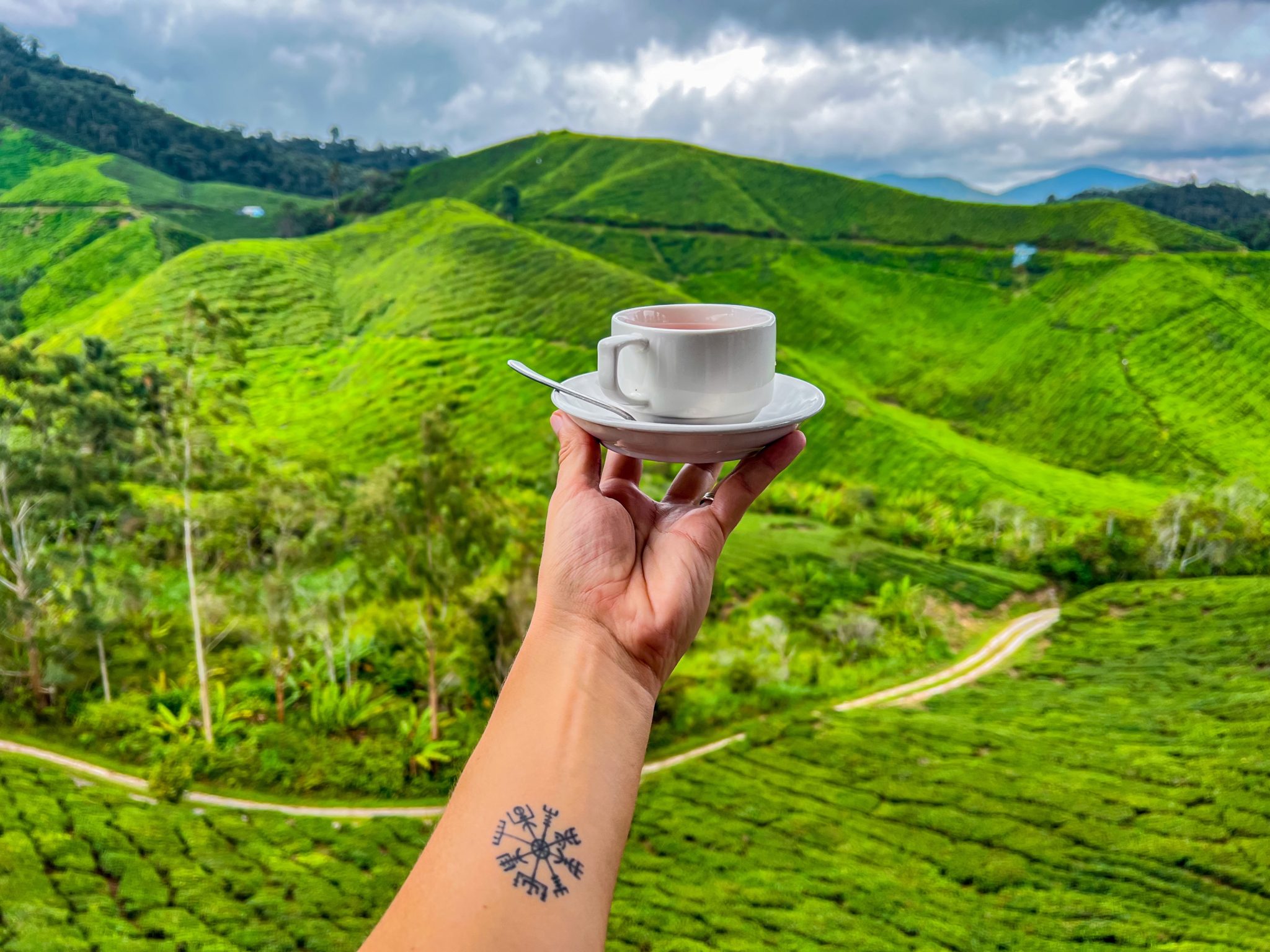 What to do in Cameron Highlands, Malaysia | Feast of Travel